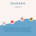 Exudado: cantidad y color para valoración - Revista Úlceras.Info