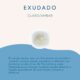 Exudado: cantidad y color para valoración - Revista Úlceras.Info