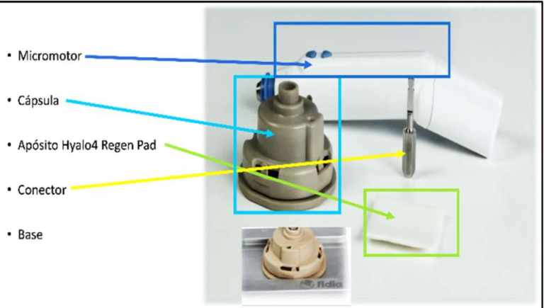 Tipos de exudado en heridas: señales, riesgos y tratamientos ...